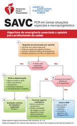 Cartão Digital de Referência para SAVC